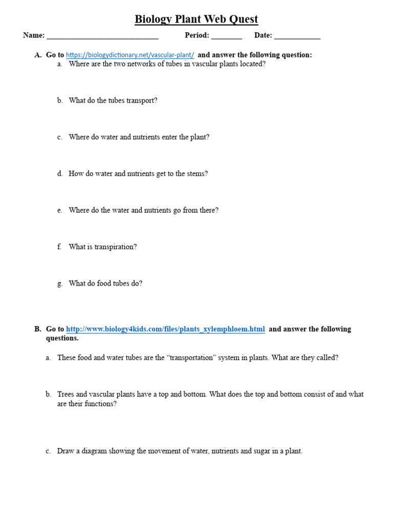 Plant Webquest | PDF | Plant Stem | Organisms