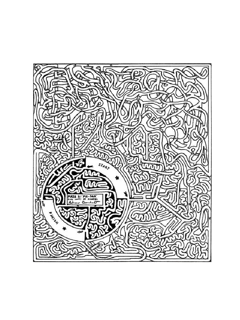 Nice Mazes | PDF