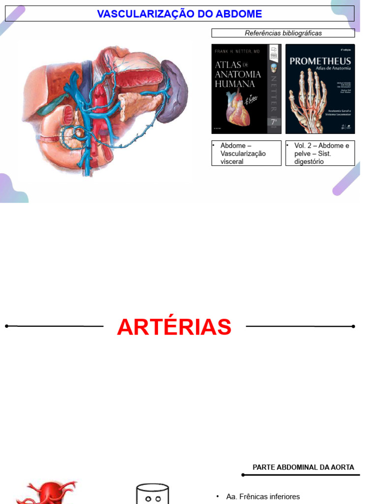 Vascularização - Antonio Di Petta | PDF | Angiologia | Abdômen