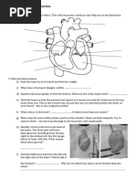 Heart Diagram Gcse Unlabelled Printable - Google Search | PDF