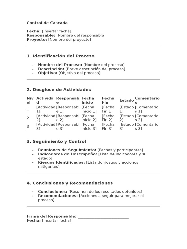 Control de Cascada Formato | PDF