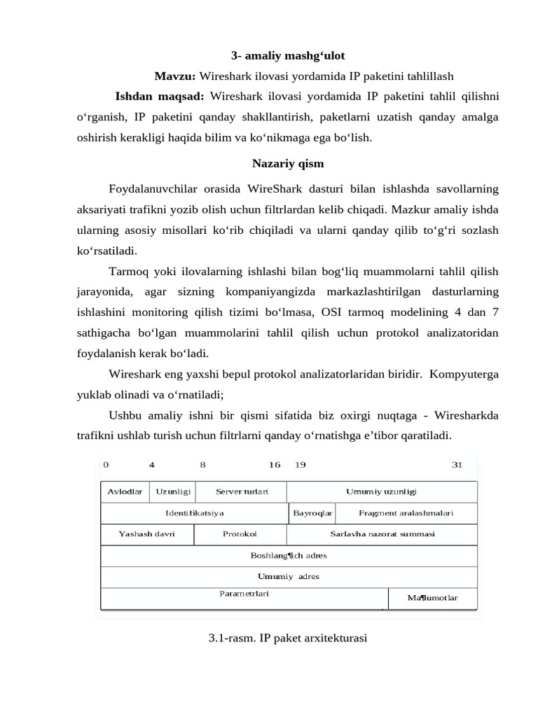 3-Amaliy Mashg Ulot Mavzu: Ishdan Maqsad | PDF