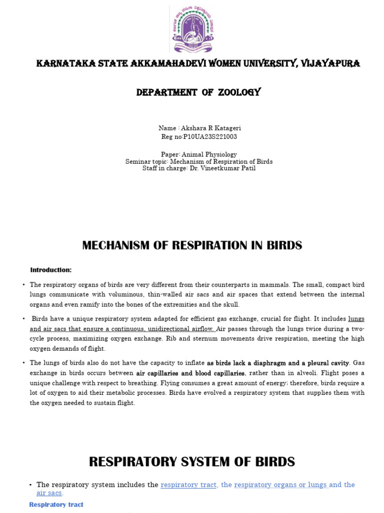 Avian Respiratory System Mechanism | PDF | Respiratory System | Lung
