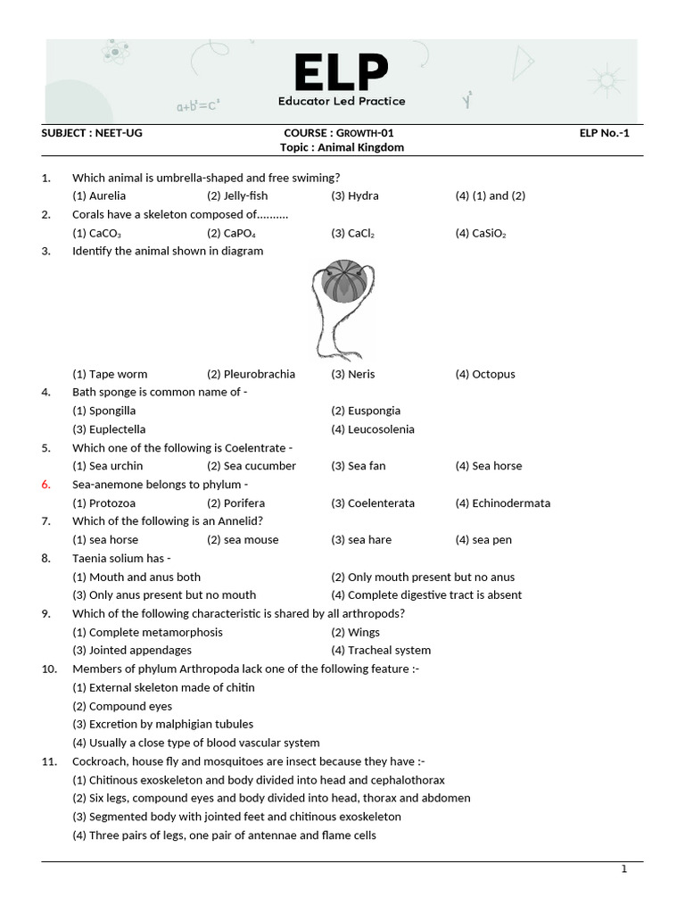 Mouse Phyla and Animal Kingdom Quiz | PDF | Mollusca | Zoology