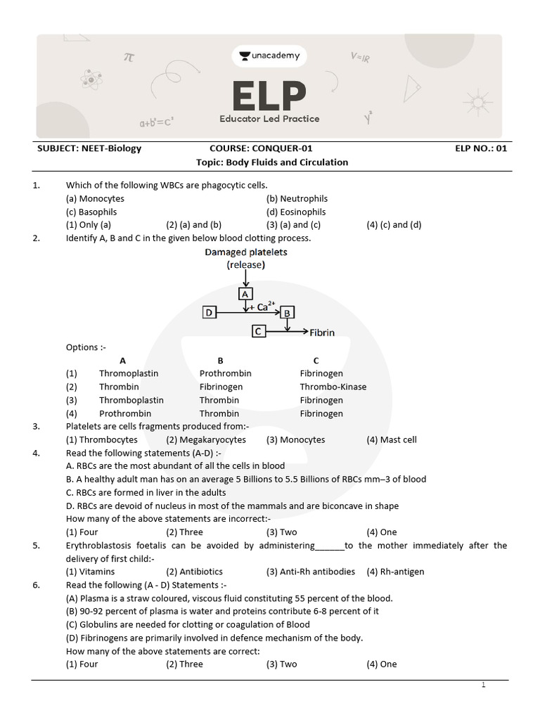 NEET Biology: Body Fluids & Circulation | PDF | White Blood Cell | Cell Biology