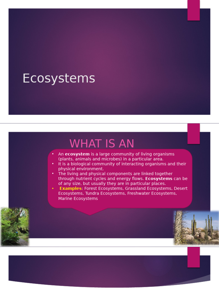 Ecosystems | PDF
