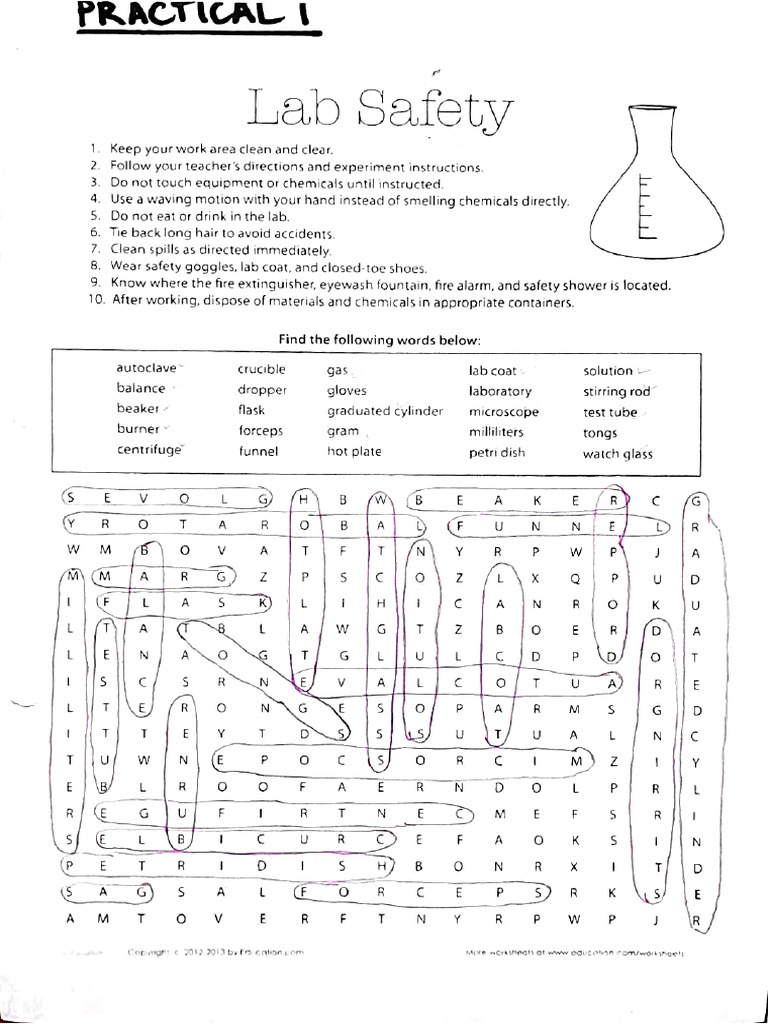 Lab Safety Quizz | PDF