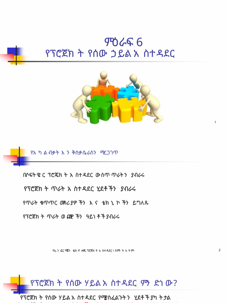 IT Project Management Chapter 6 | PDF