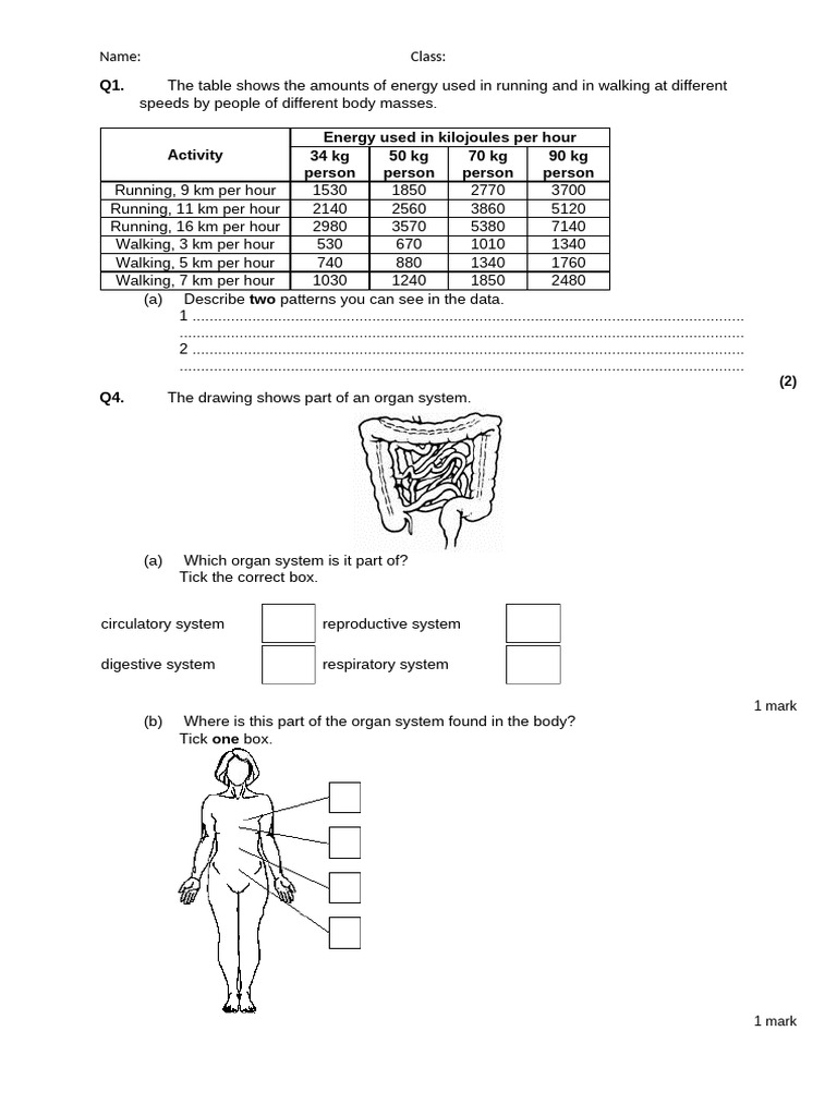 Nutrition and Digestion Worksheet | PDF | Digestion | Stomach