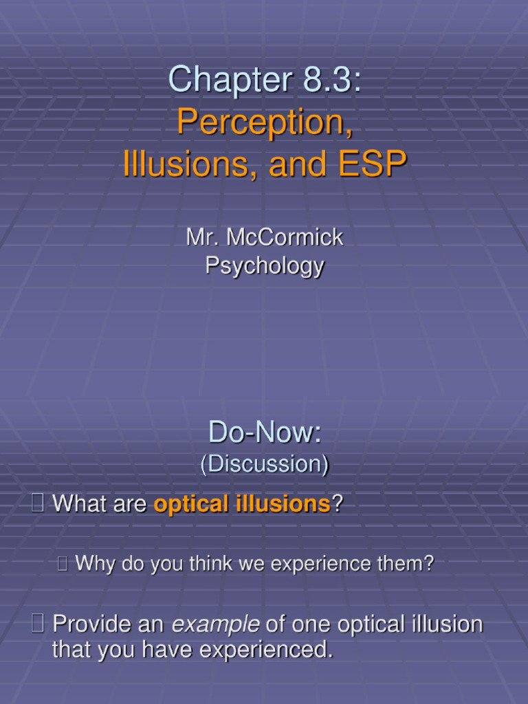Perception | PDF