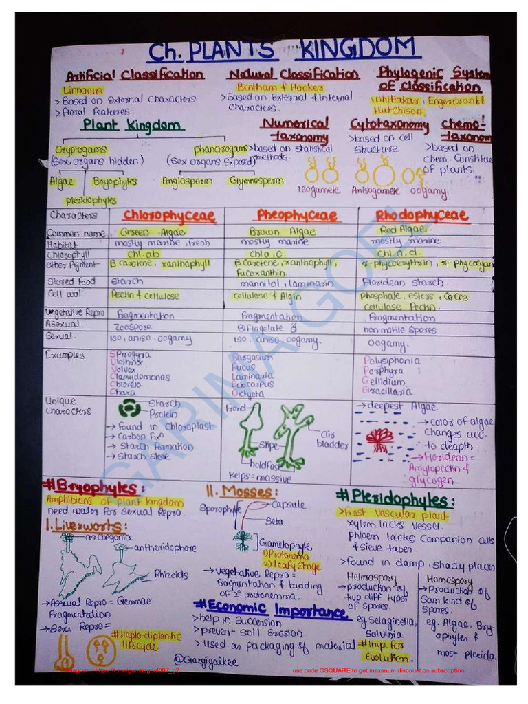 Plant Kingdom - Short Notes@g2 | PDF
