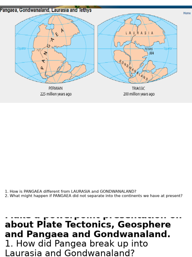 PLATE | PDF
