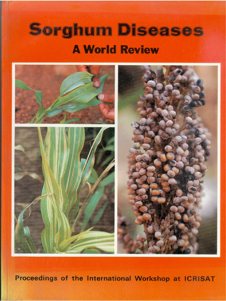 Sorghum Diseases Workshop Proceedings | PDF | Organisms | Agriculture