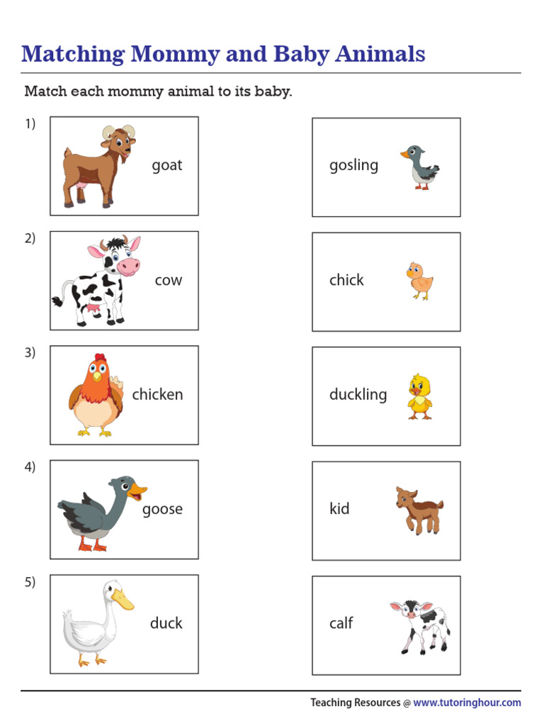 Matching | PDF