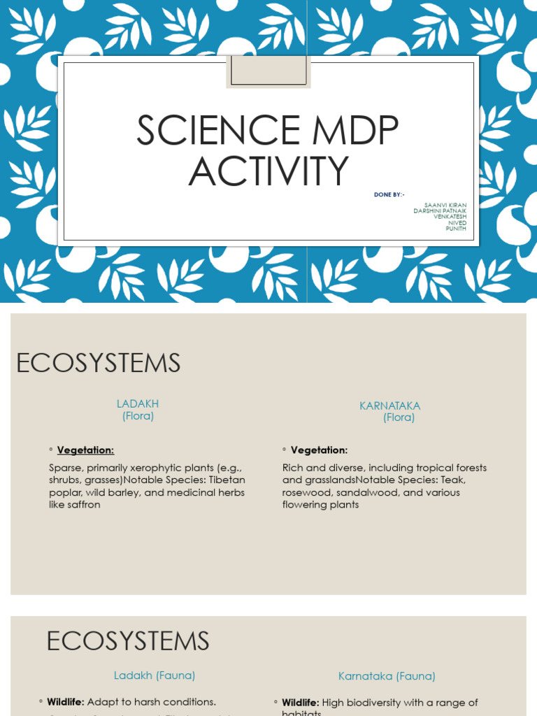 Science MDP Activity | PDF