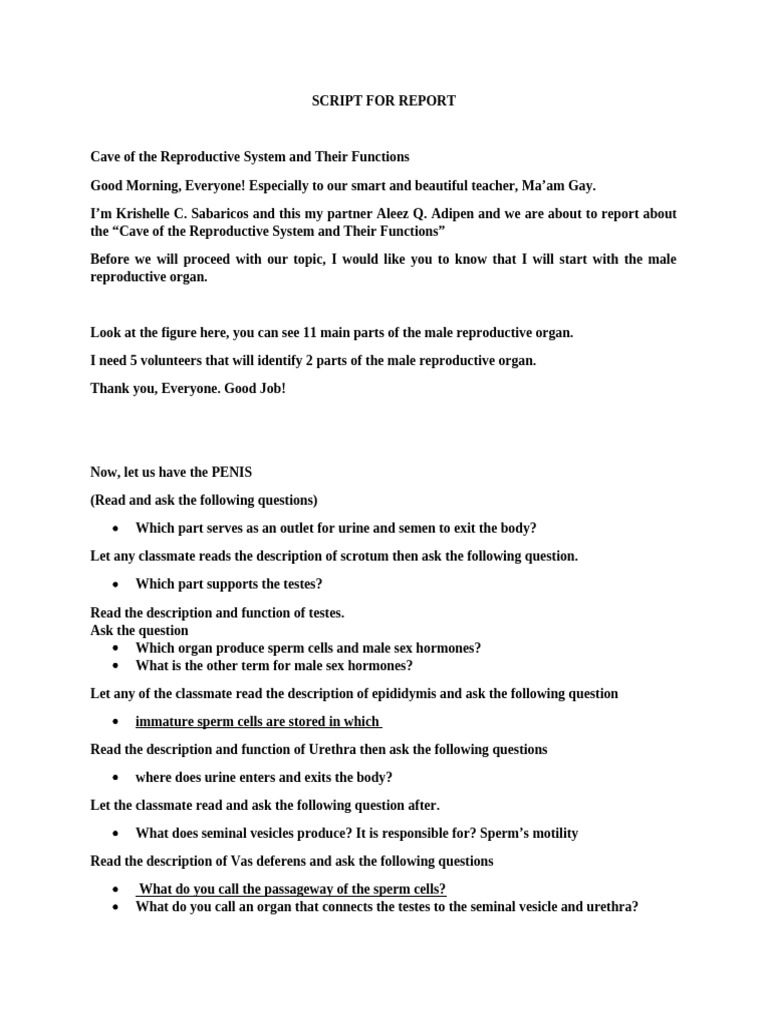 SCRIPT FOR REPORT krishelle | PDF