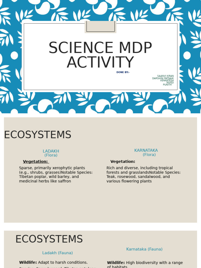 Science MDP Activity | PDF