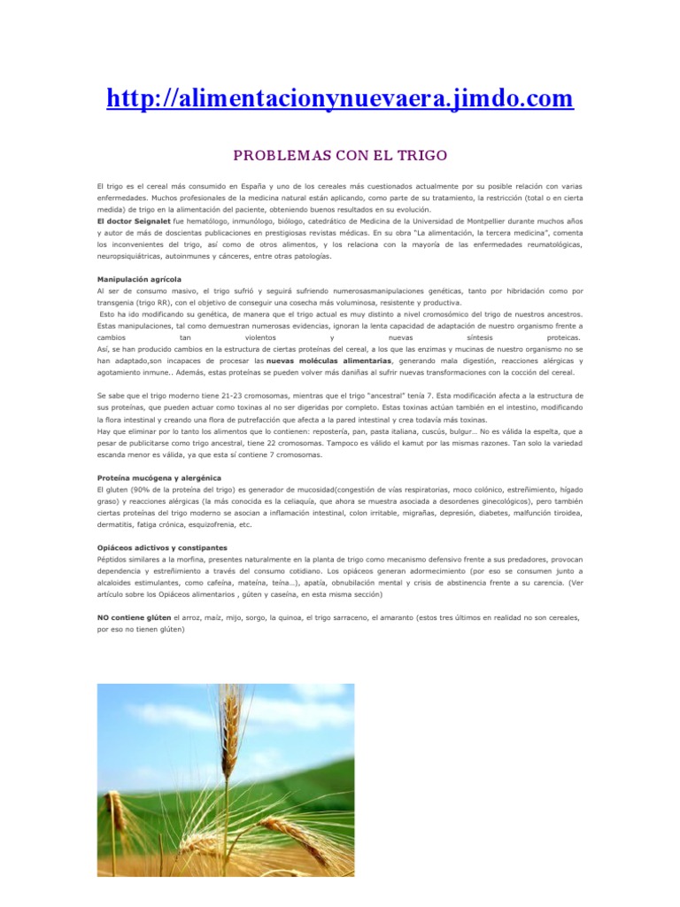 Trigo | PDF | Trigo | Alimentos