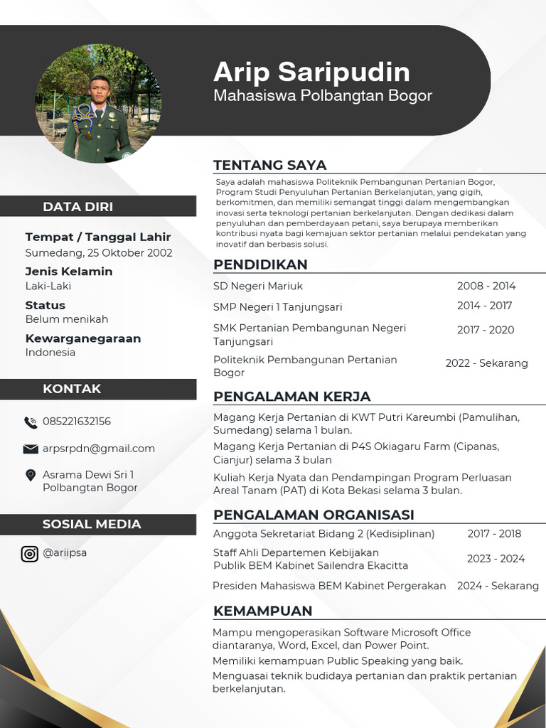 CV Arip Saripudin | PDF