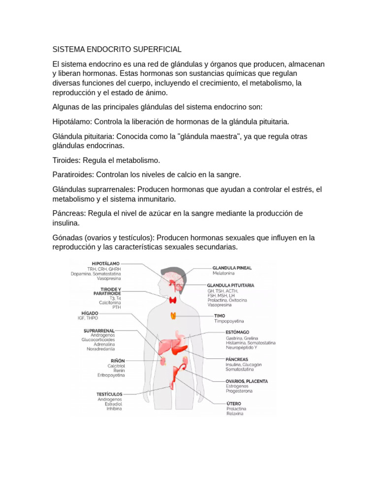JESSI | PDF | Hormona | Sistema endocrino