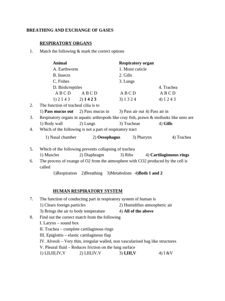 Respiratory Organs and Gas Exchange Quiz | PDF | Respiratory Tract ...