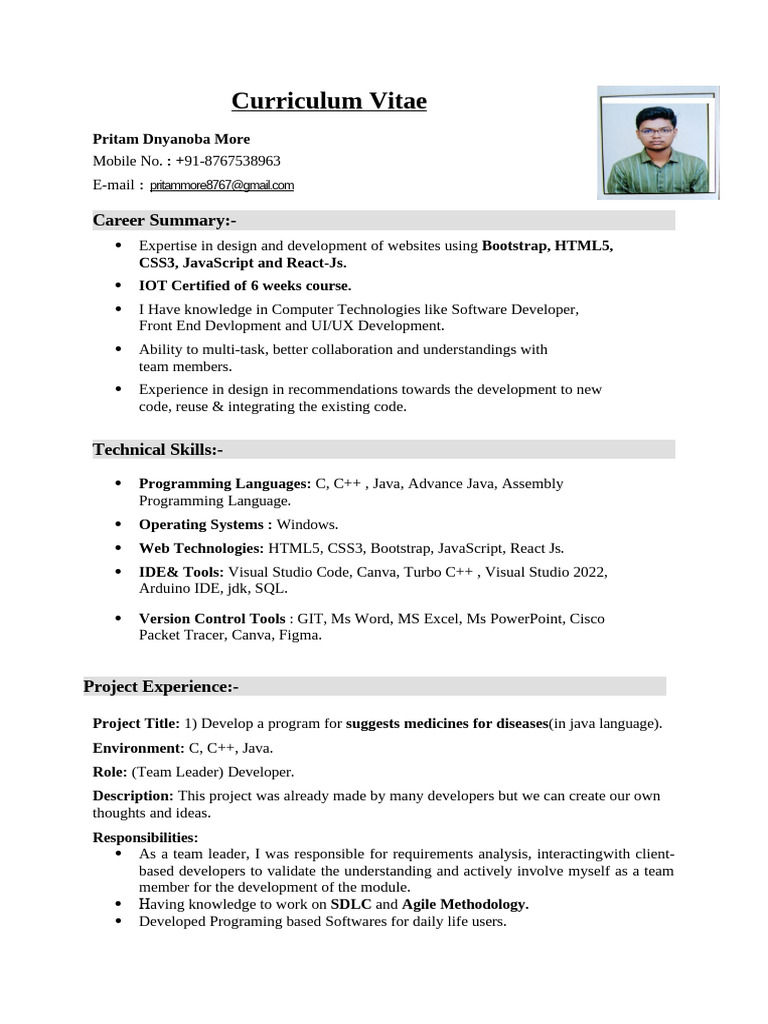 Pritam Cv | PDF | Software Development | Computing