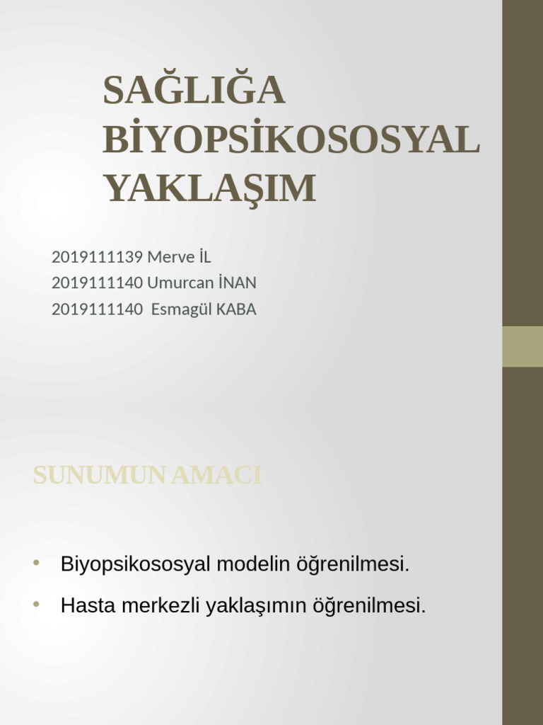 BPS Model | PDF