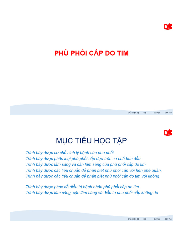 Phu Phoi Do Tim DR Ngo Minh Hung NCTU 2023 | PDF