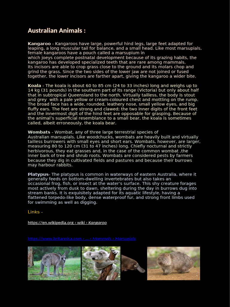 Australian Animals - IT | PDF