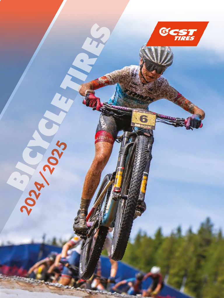 Catalog CST Bicycle Tites 2025 | PDF | Tire | Transport