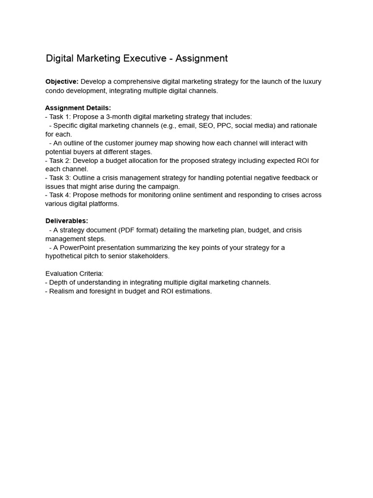 Digital Marketing Executive- Assignment | PDF