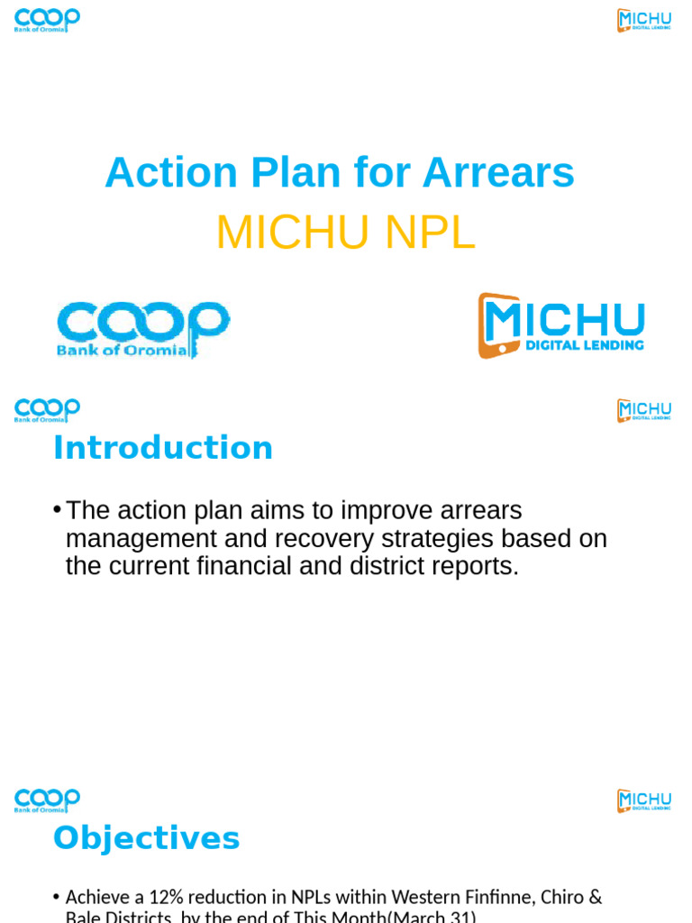 Arrears Management Action Plan | PDF