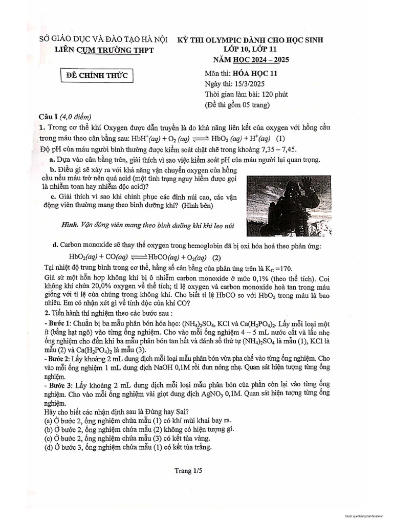 2024 - 2025 - HSG 11 - Cụm Hoàng Mai, Thanh Trì | PDF