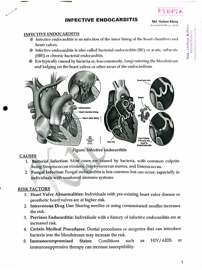 Infective Endocarditis - 1 | PDF