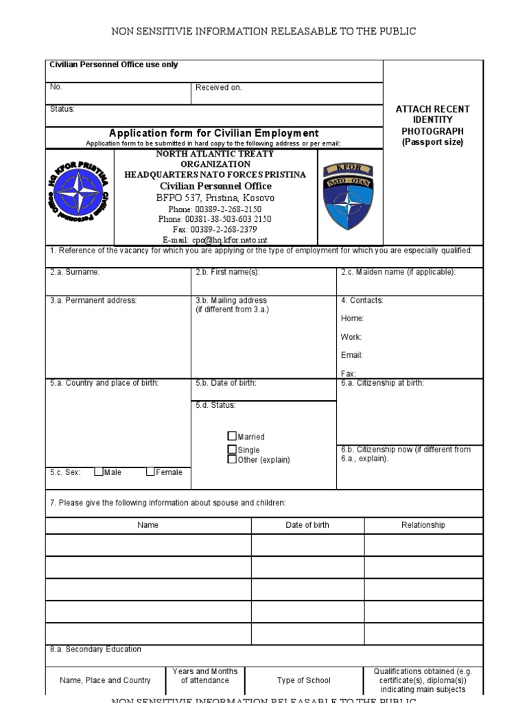 Icc Application Form | PDF | Information Sensitivity | Employment