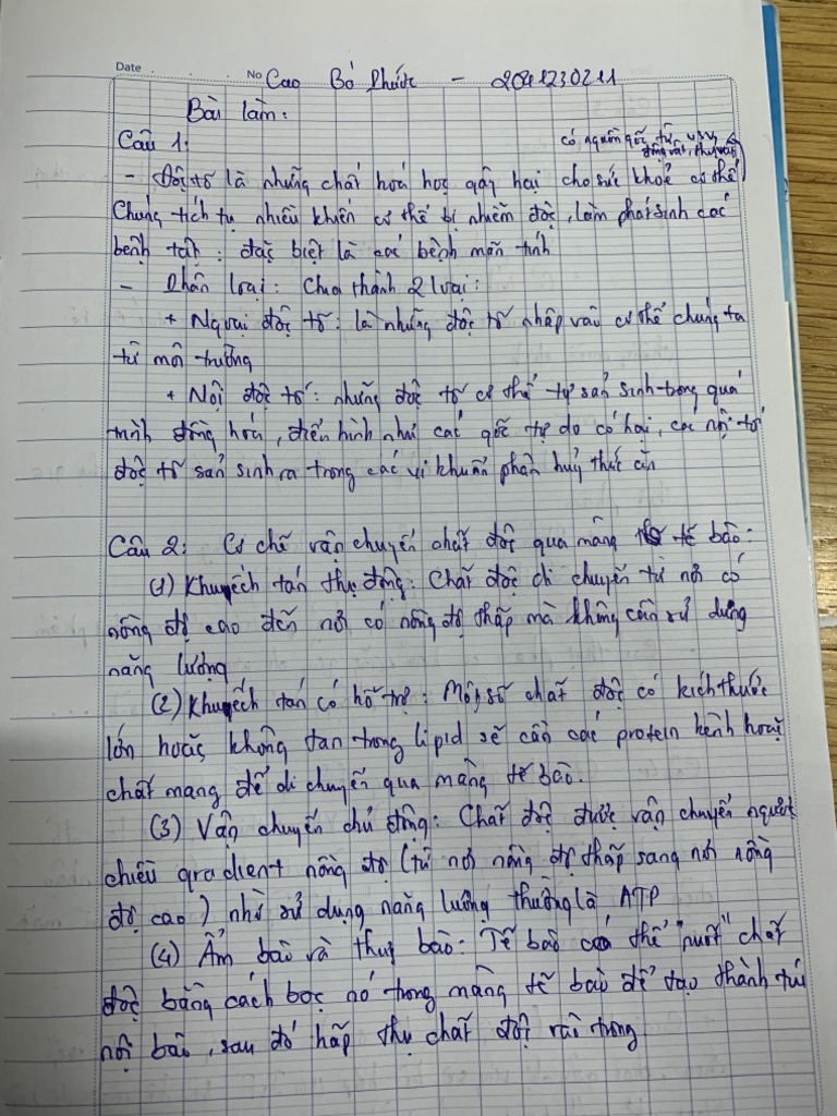 DTTP CaoBaPhuoc | PDF