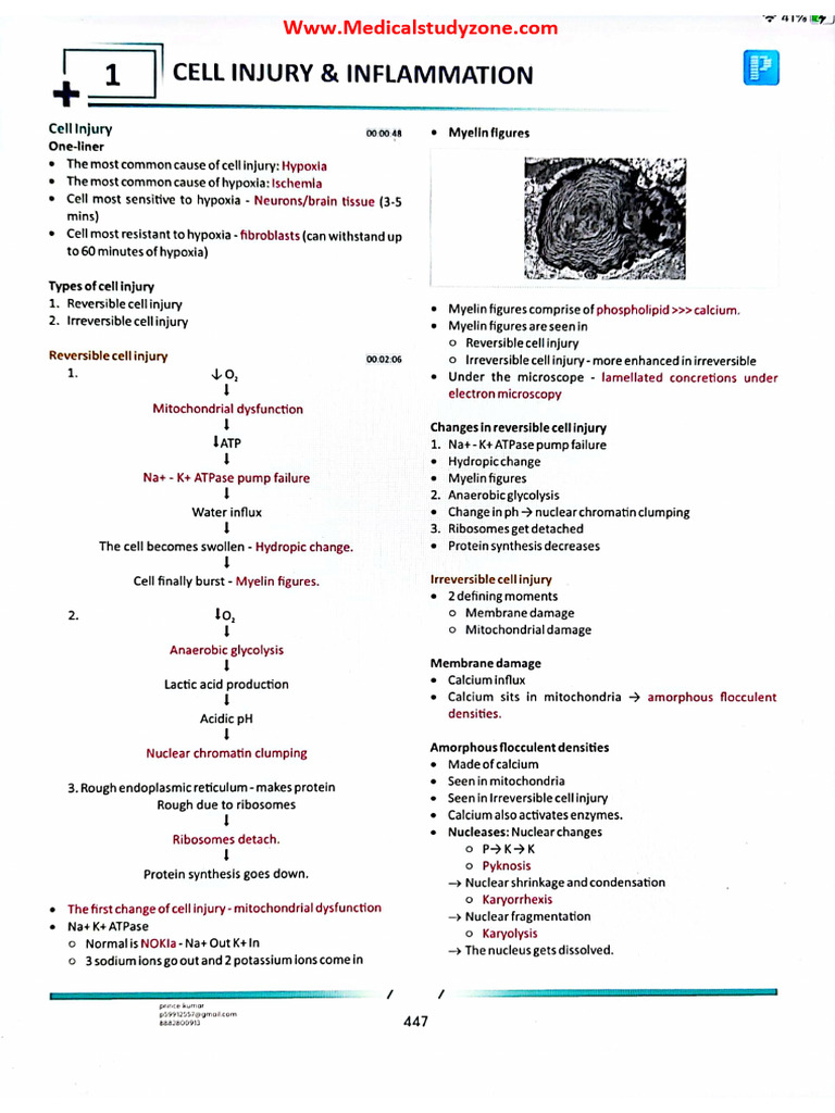 Pathology (DR - Preeti Sharma) (Medicalstudyzone - Com) | PDF | Multimedia | Computing