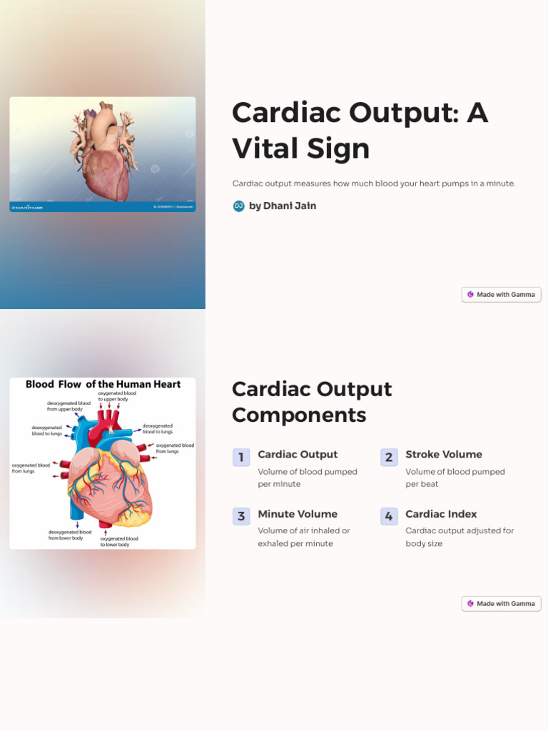 Cardiac Output A Vital Sign | PDF
