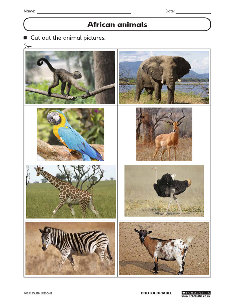 African Animals Cut-Out Activity | PDF