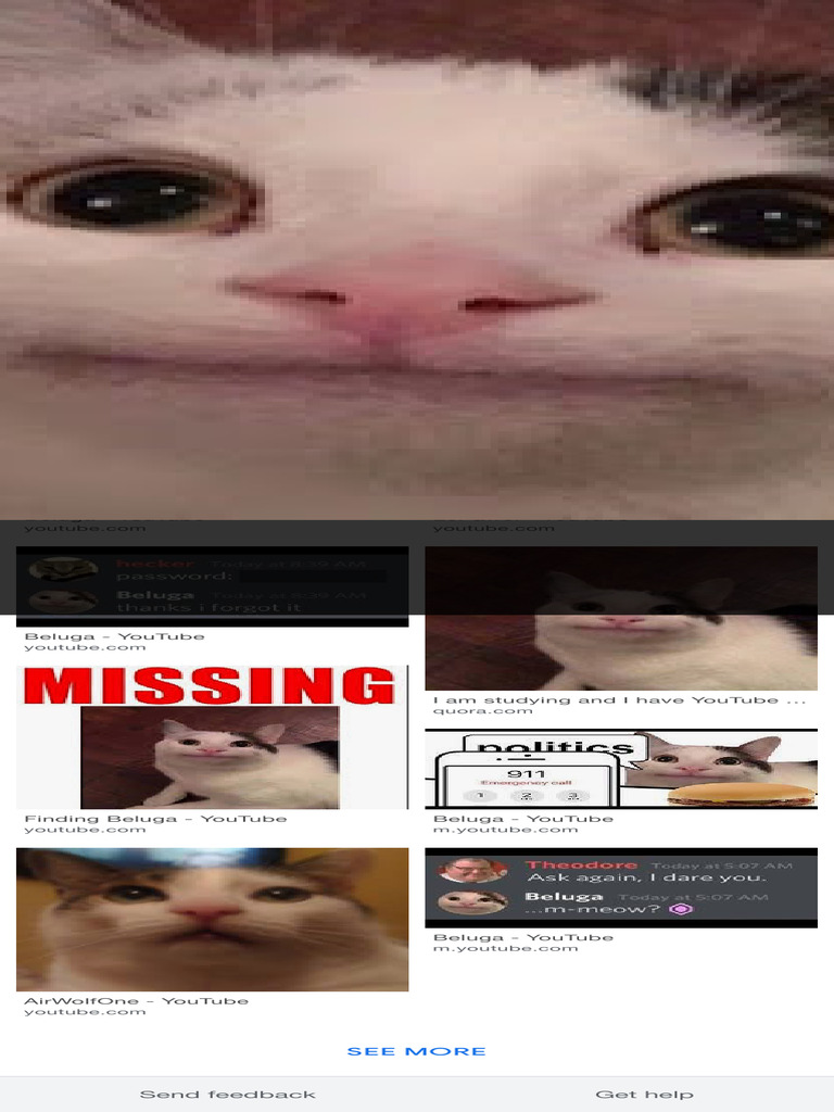 Beluga Youtube Channel - Google Search | PDF