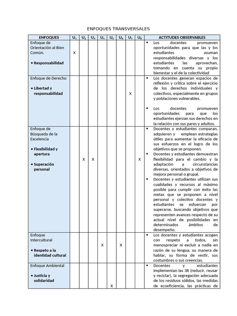 Enfoques Transversales 2025 | PDF