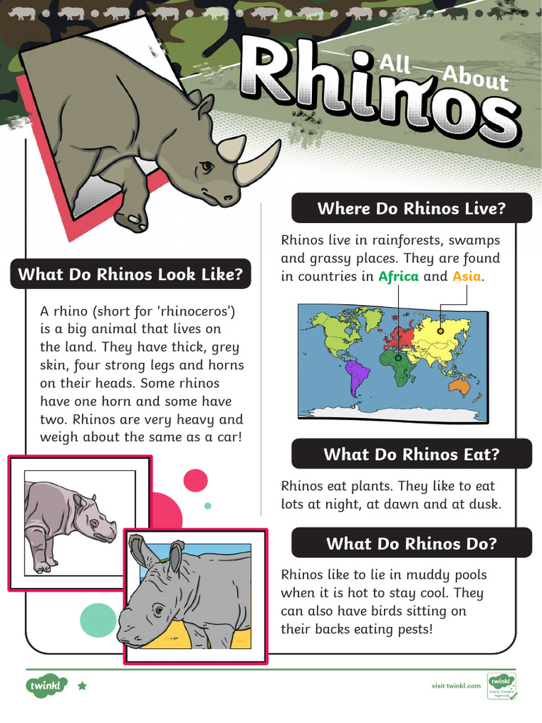 t-tp-1686219407-ks1-all-about-rhinos-differentiated-reading ...