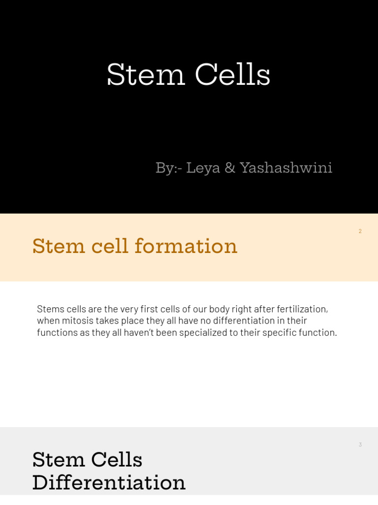 Stem Cells by Leya & Yashashwini | PDF