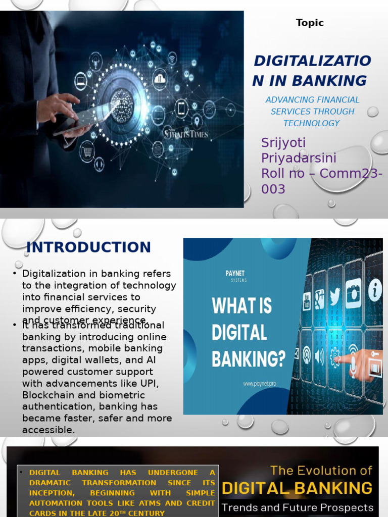 Srijyoti Priyadarsini | PDF | Banks | Online Banking
