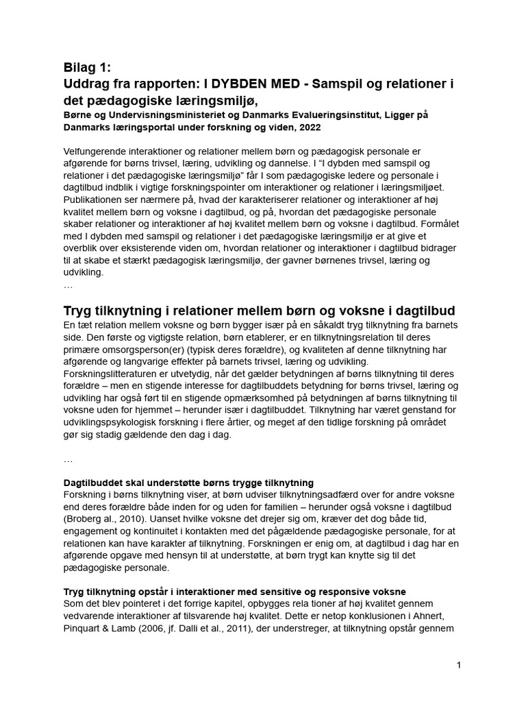 Bilag 1 - Uddrag Fra Rapporten - I DYBDEN MED - Samspil Og R | PDF