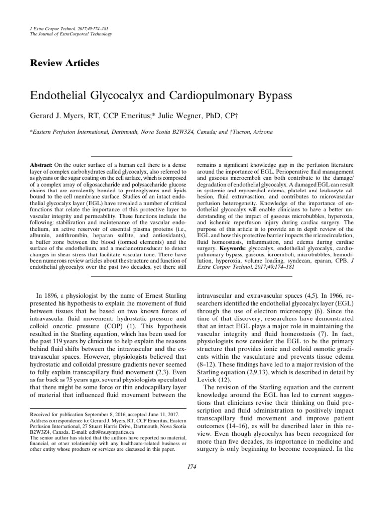 Endothelial Glycocalyx and Cardiopulmona | PDF | Cell Membrane ...