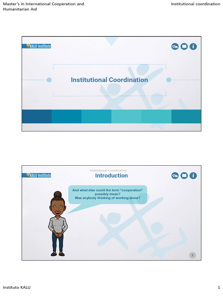 Institutional Coordination Pdf Humanitarian Aid Violence