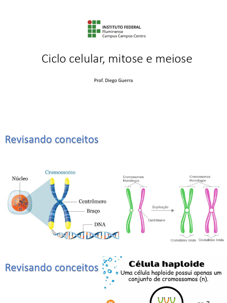 Aula 3 - Ciclo Celular, Mitose e Meiose | PDF | Meiose | Mitose