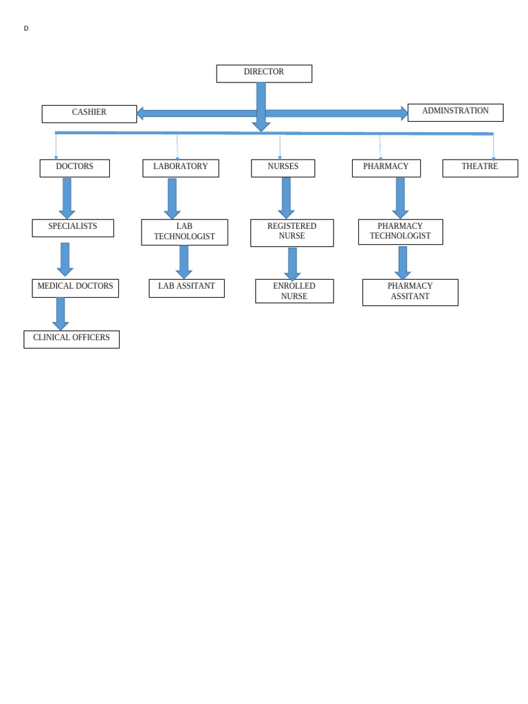 Hospital Organizational Structure Overview | PDF