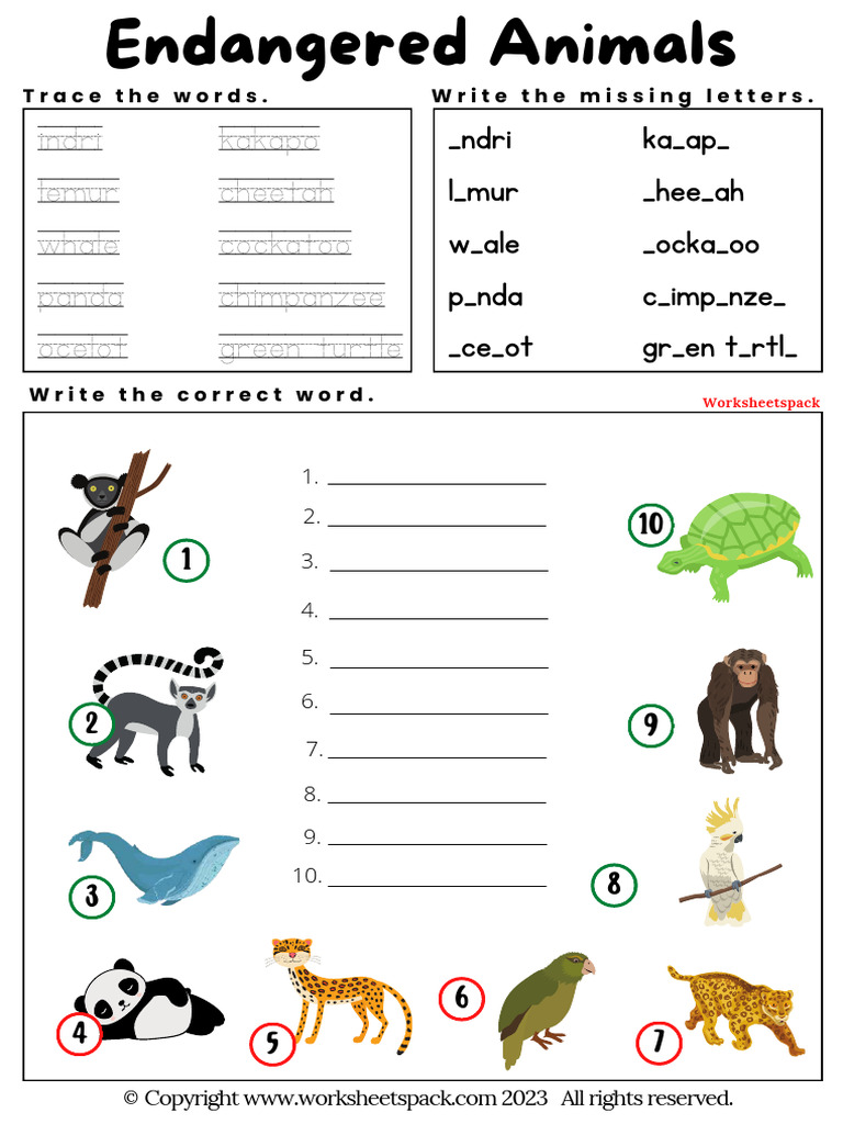 Endangered Animals Worksheet for Kids | PDF